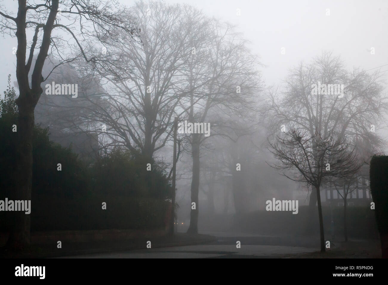 Fog veiled hi-res stock photography and images - Alamy