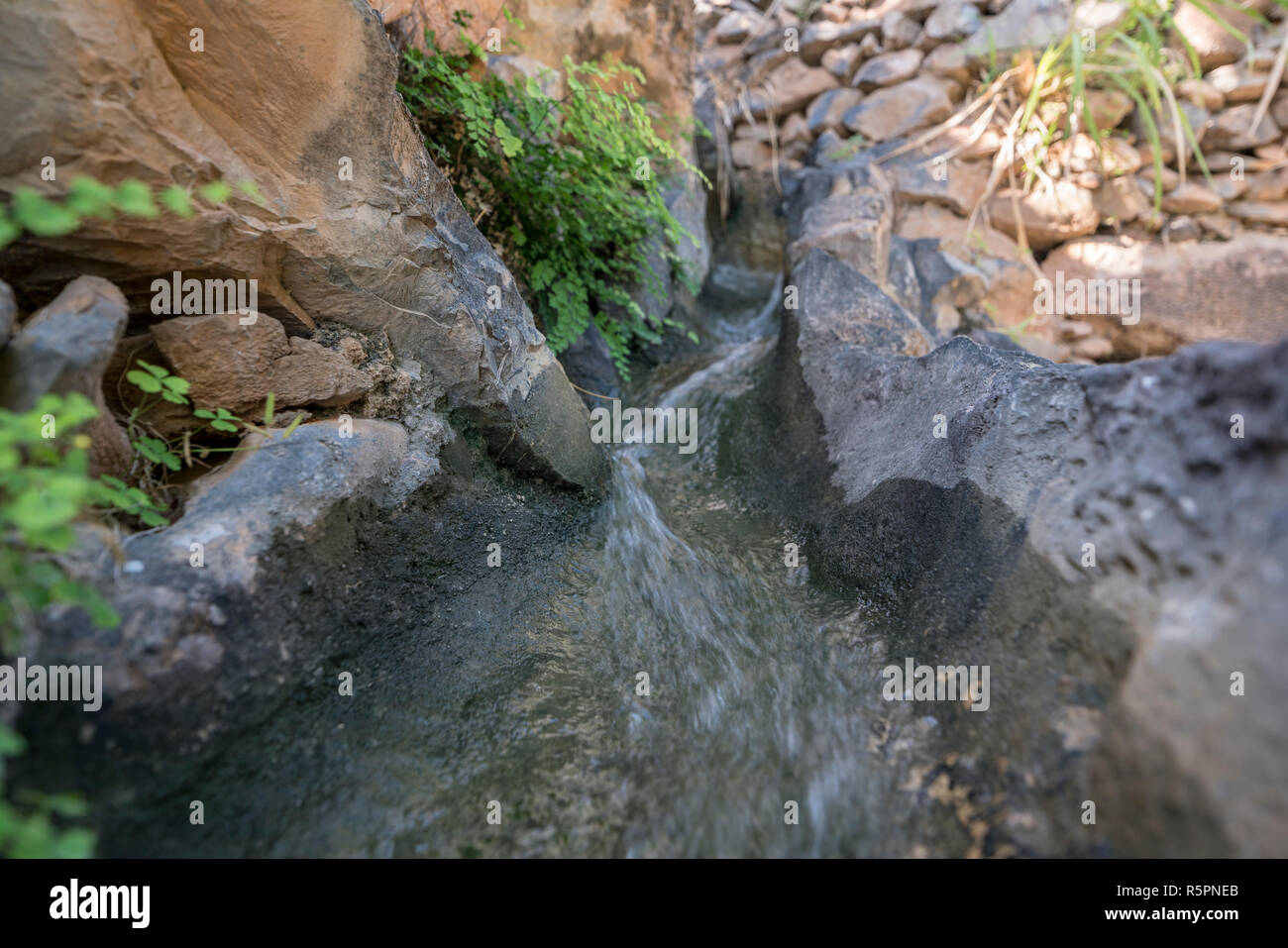 Traditional falaj irrigation system in the mountain village of Misfat ...
