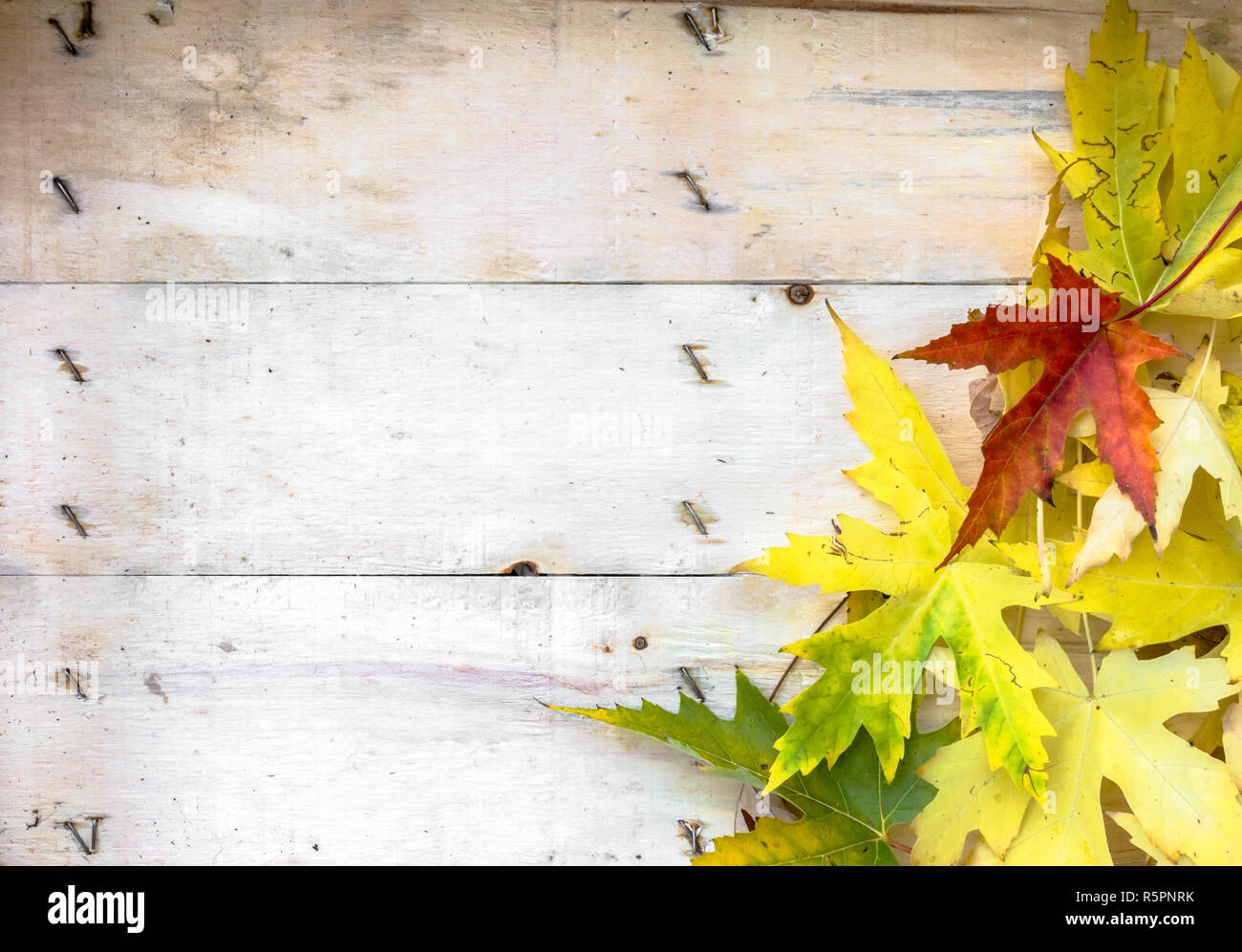 Autumn leaves on wood planks Stock Photo - Alamy