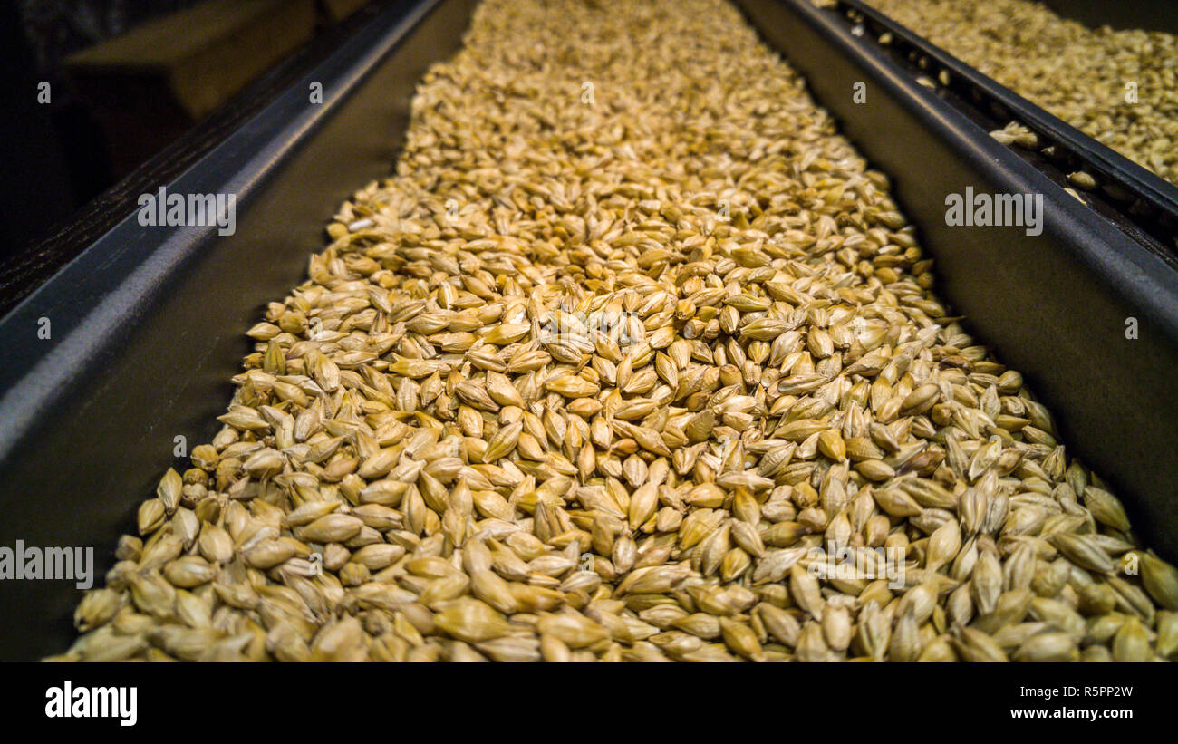 Unmalted hi-res stock photography and images - Alamy