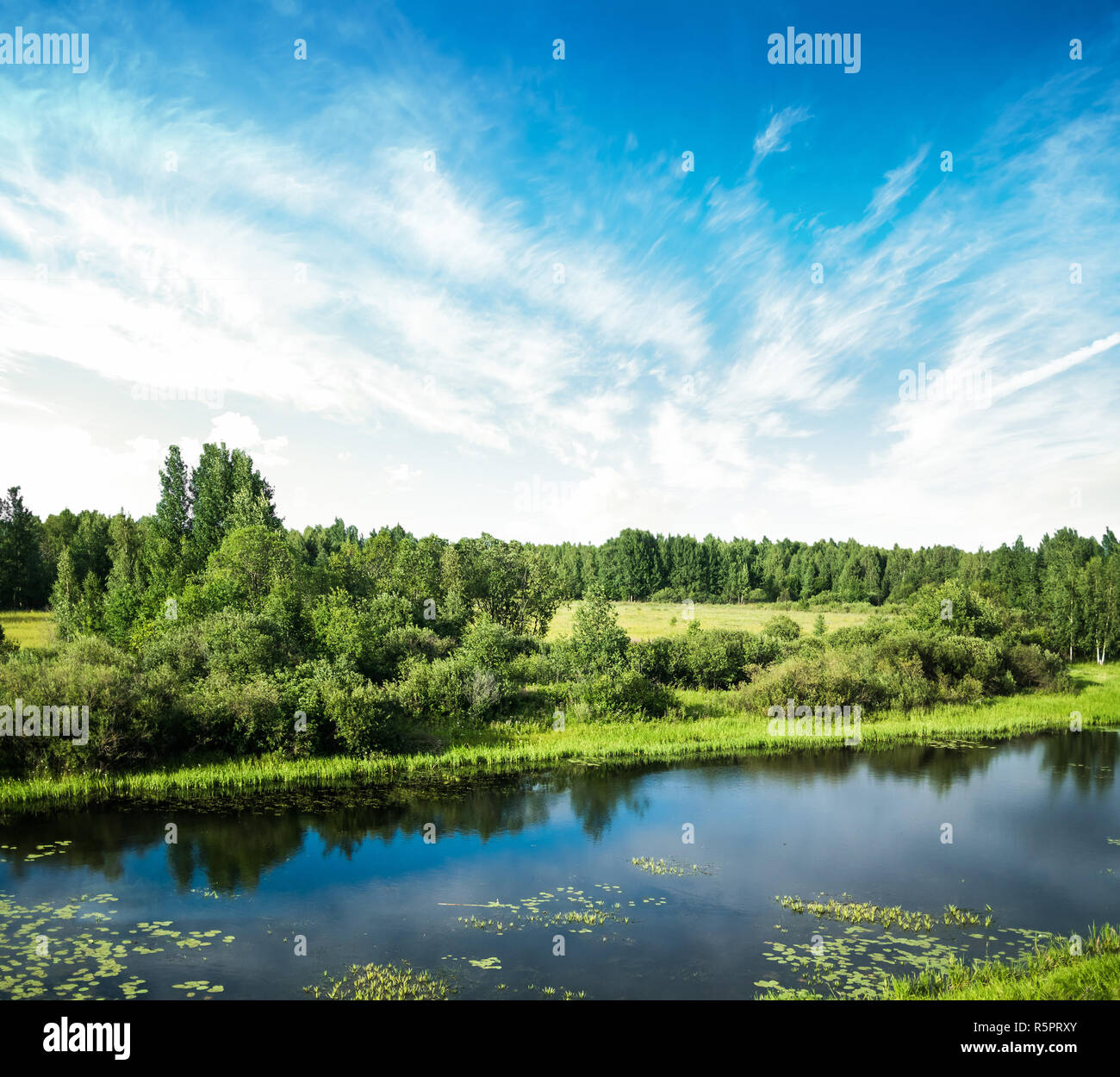 Summer beautiful landscape Stock Photo - Alamy