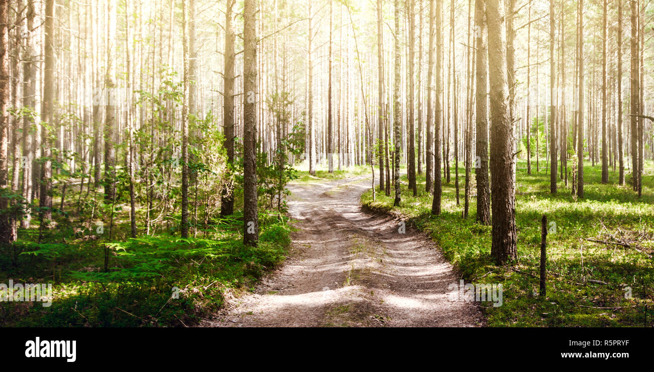 Summer road outdoor landscape Stock Photo - Alamy