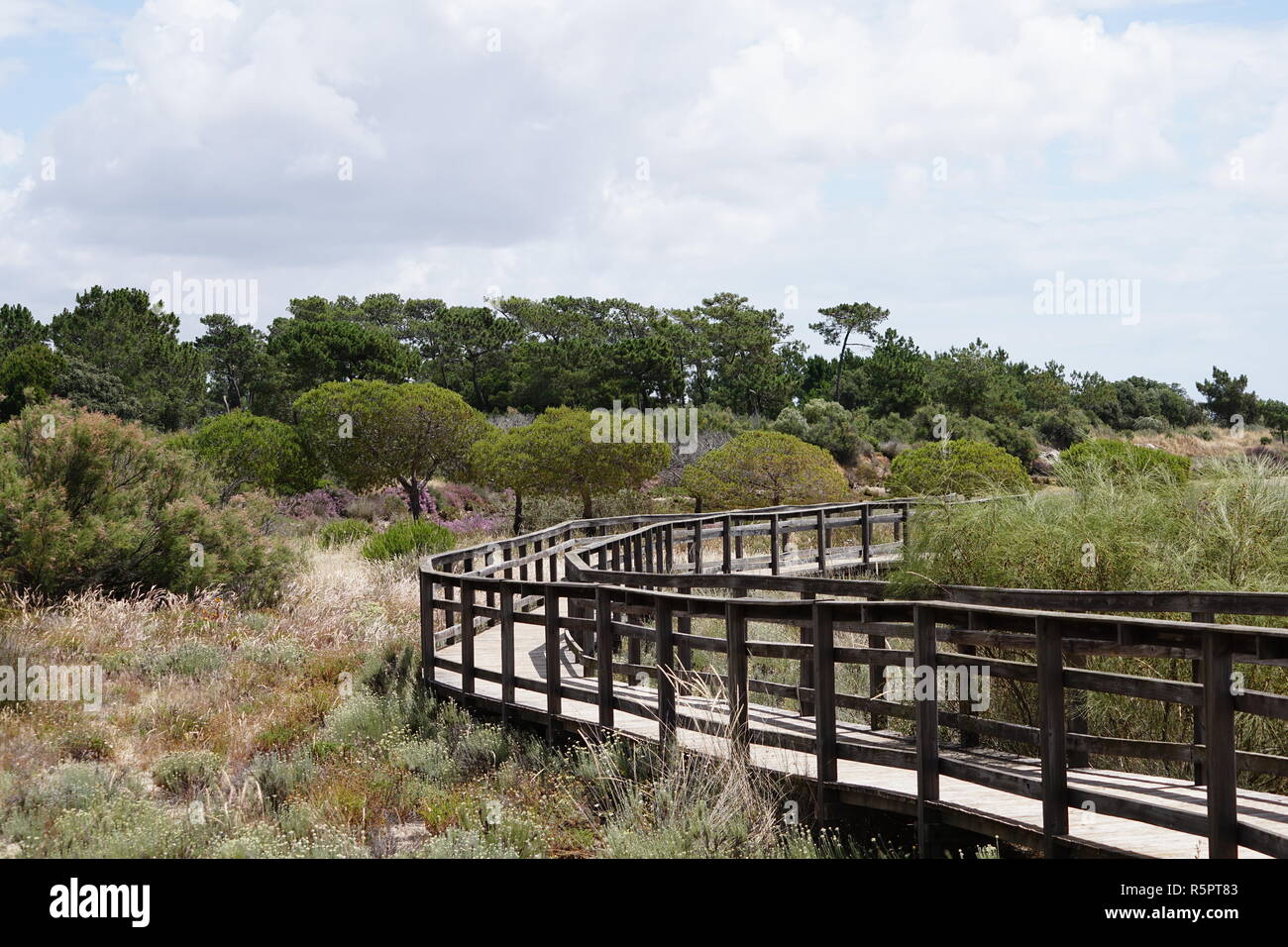 wooden walkway over sand dunes Stock Photo - Alamy
