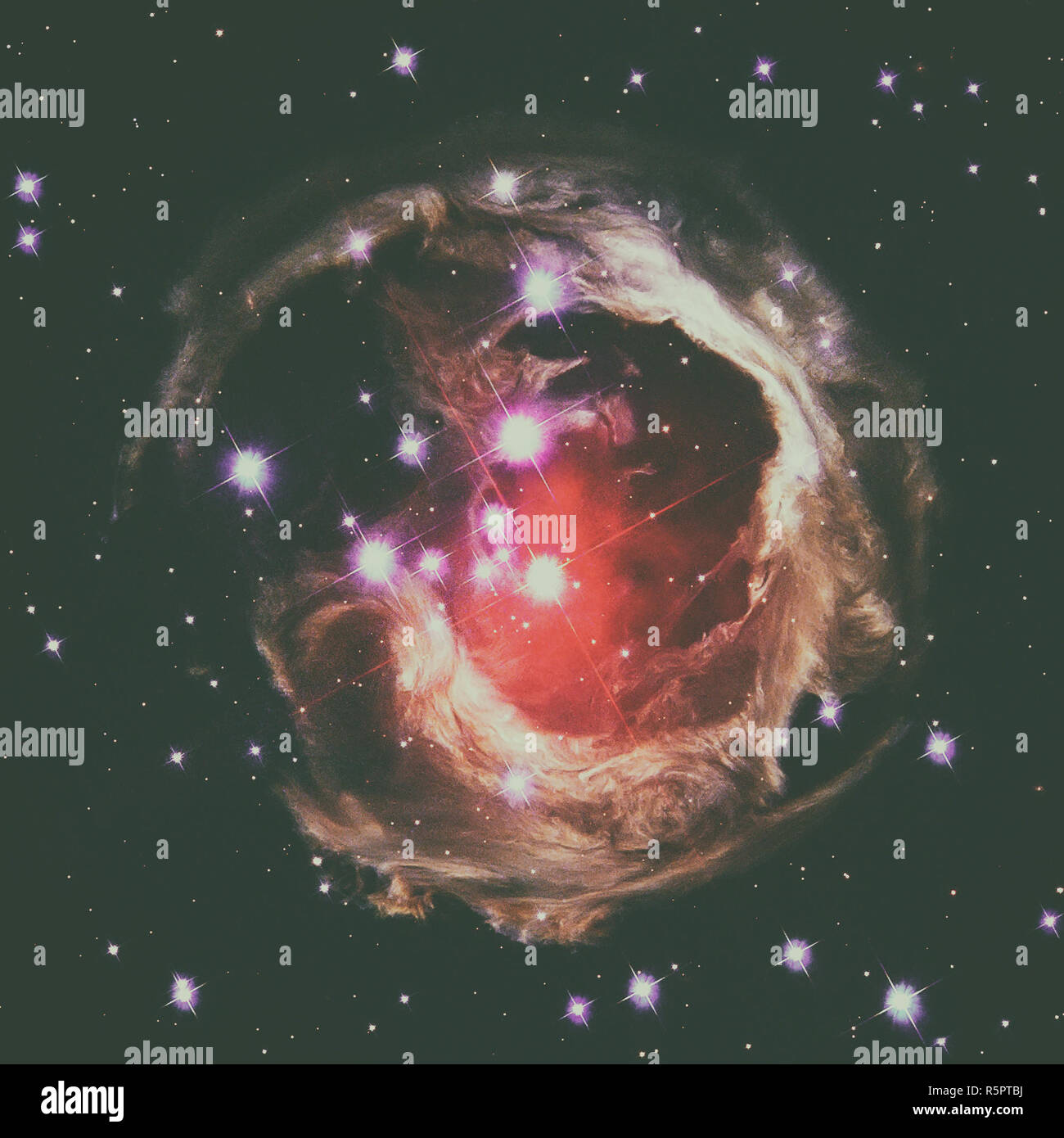 Monocerotis hi-res stock photography and images - Alamy