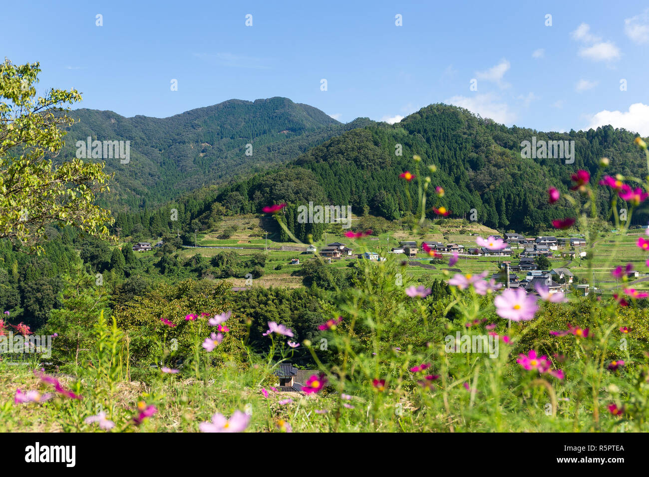 Japanese village in Miyama of Japan Stock Photo - Alamy