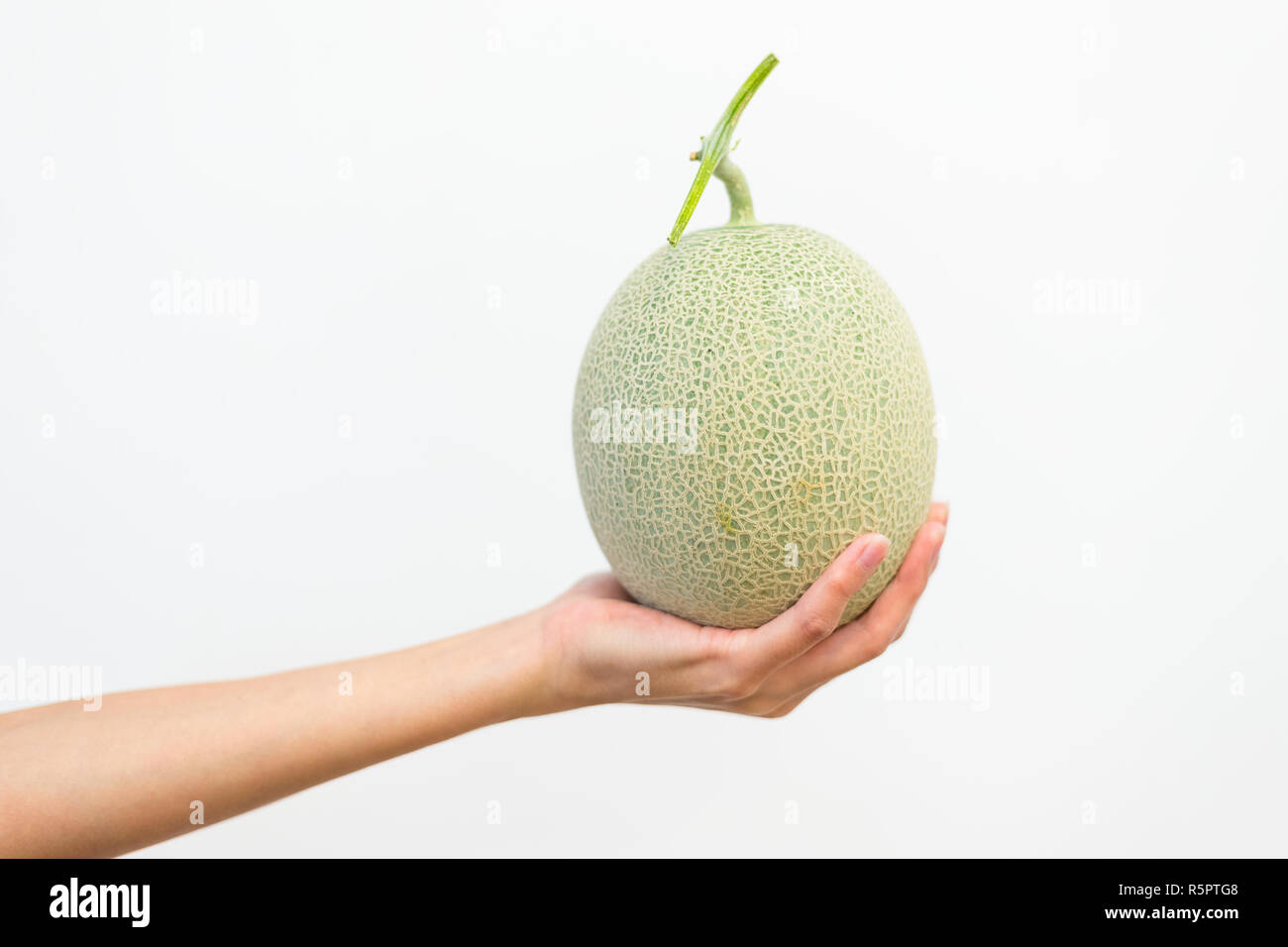 Hand holding melon Stock Photo - Alamy