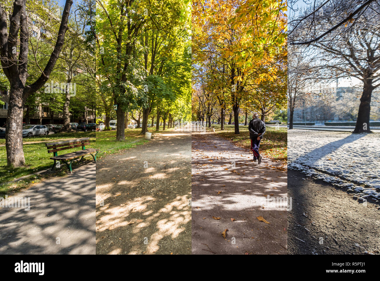 Four seasons tree hi-res stock photography and images - Alamy