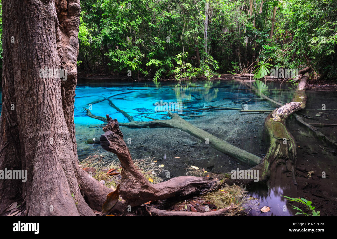 Emerald blue pool (Sra Morakot) in Krabi province, Thailand Stock Photo ...