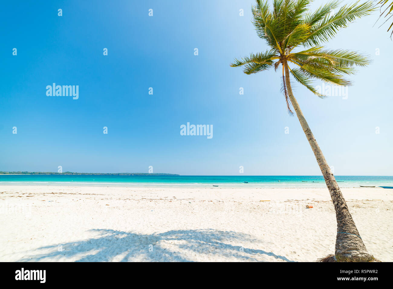 White sand beach coconut trees and palm frond, turquoise blue water ...
