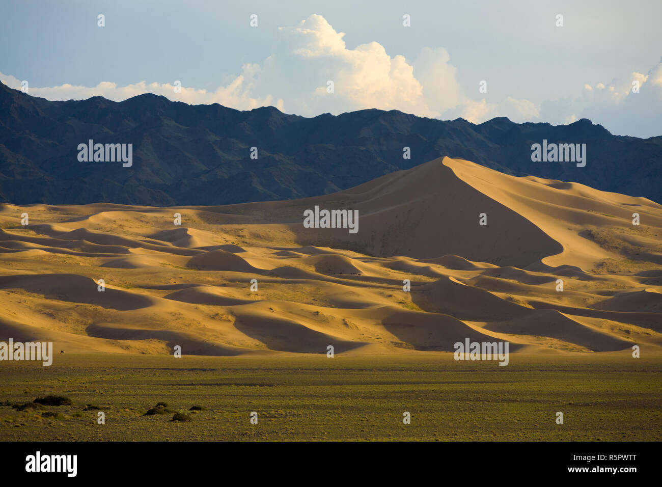 Khongor els sand dunes hi-res stock photography and images - Alamy