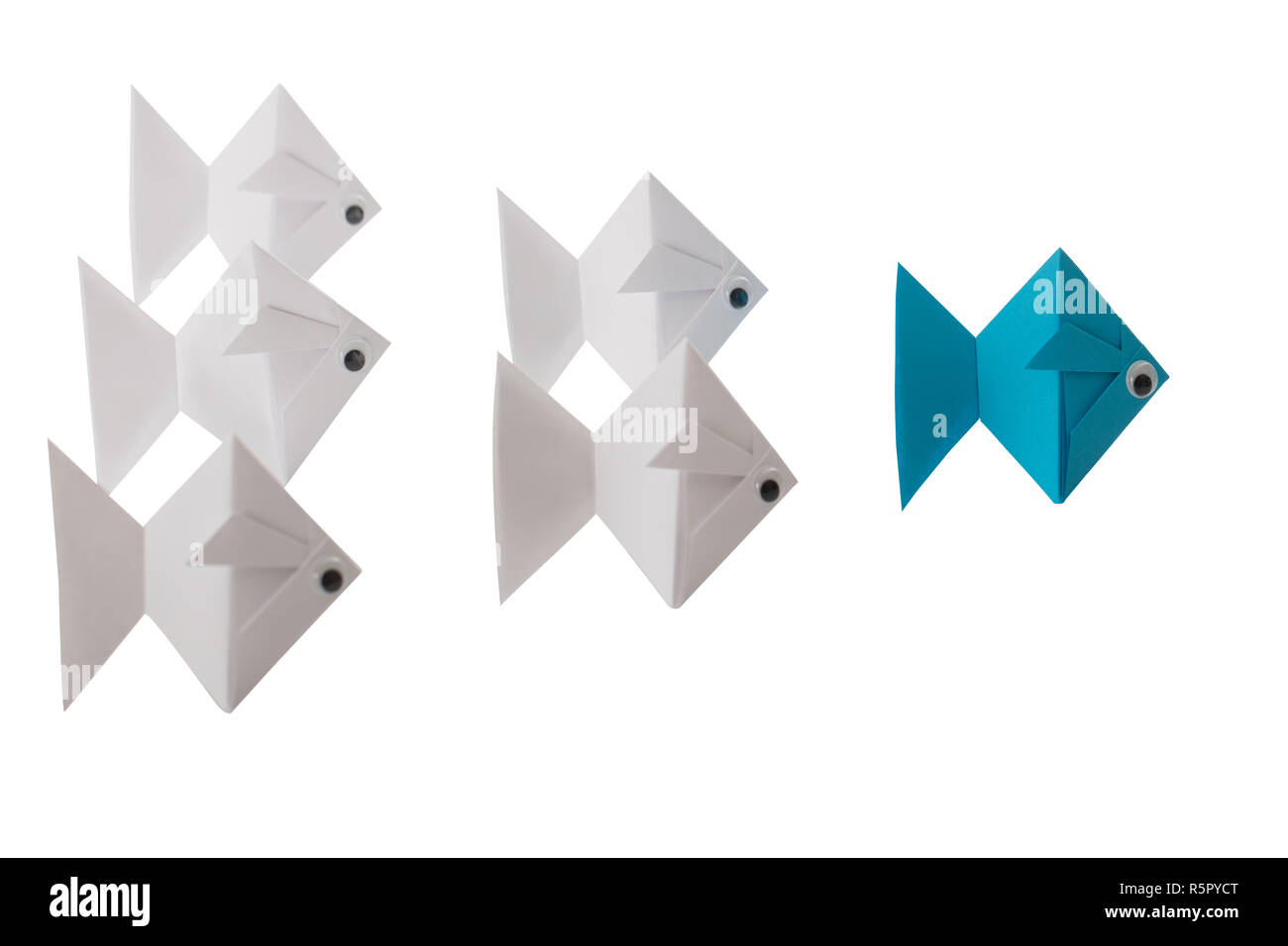 Paper Fishes Behind Blue Fish Stock Photo - Alamy