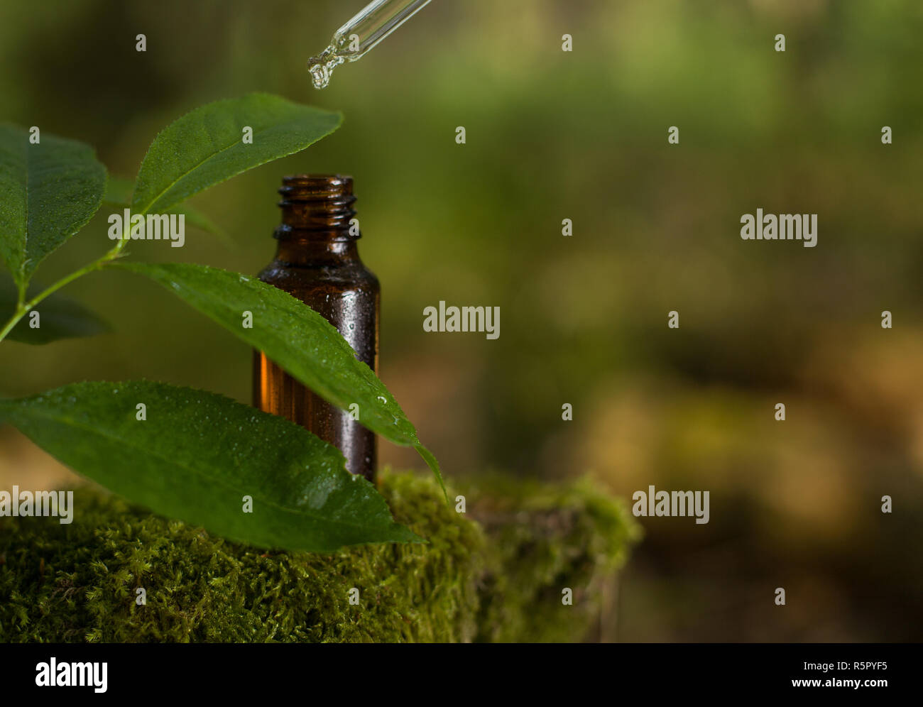 Herbal, alternative medicine, water drop falling from a pipette to the ...