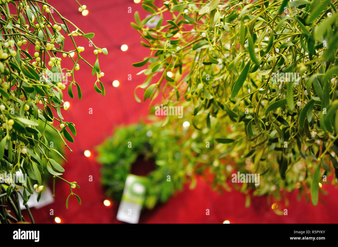 Angels and jesus and garden hi-res stock photography and images - Alamy