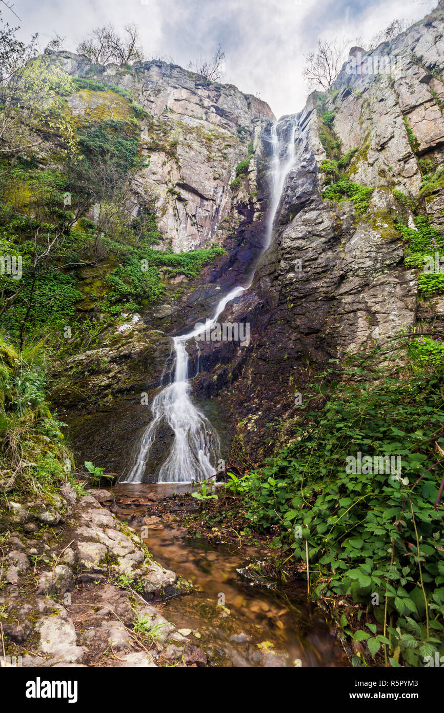 Ustina hi-res stock photography and images - Alamy