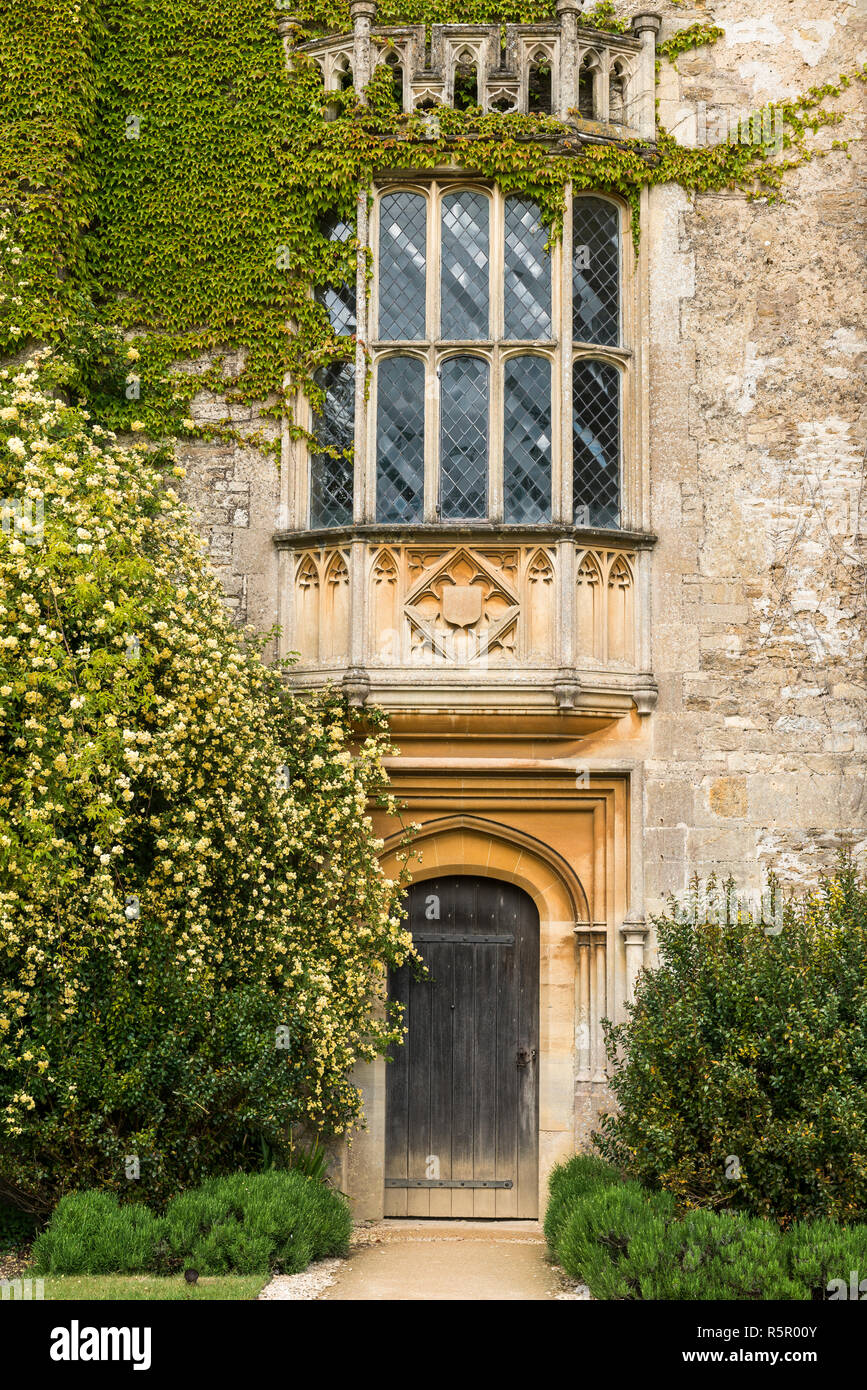 Film Subject High Resolution Stock Photography and Images - Alamy