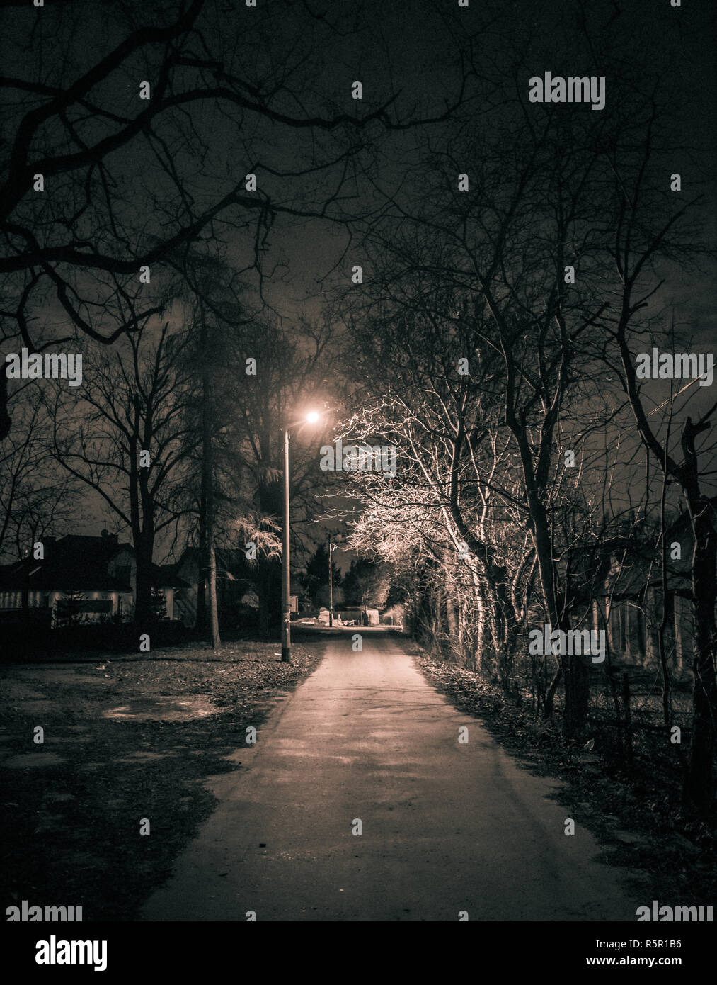 Horror in a rural dark alley lit by a single street lamp Stock Photo ...