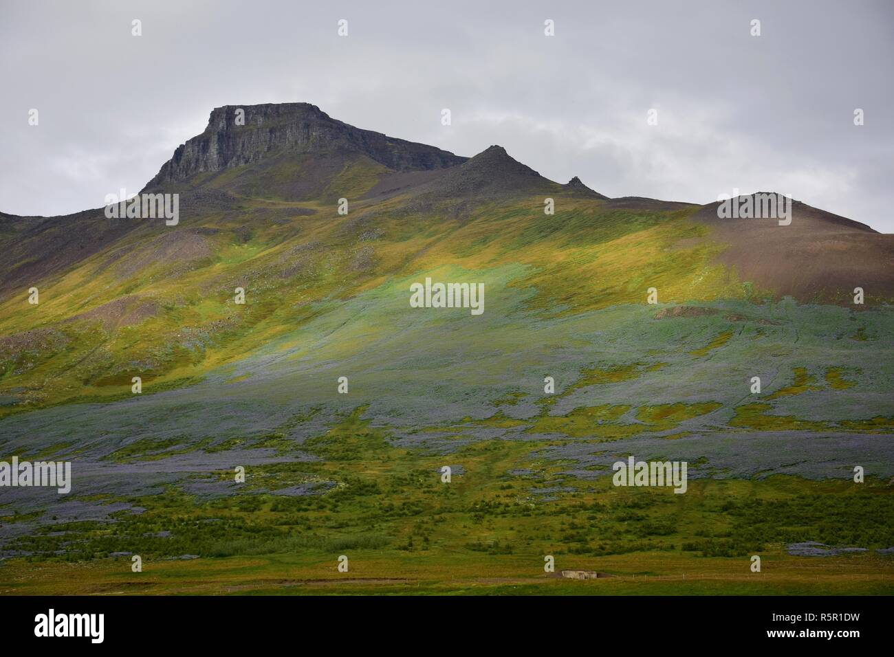 Spakonufell hi-res stock photography and images - Alamy