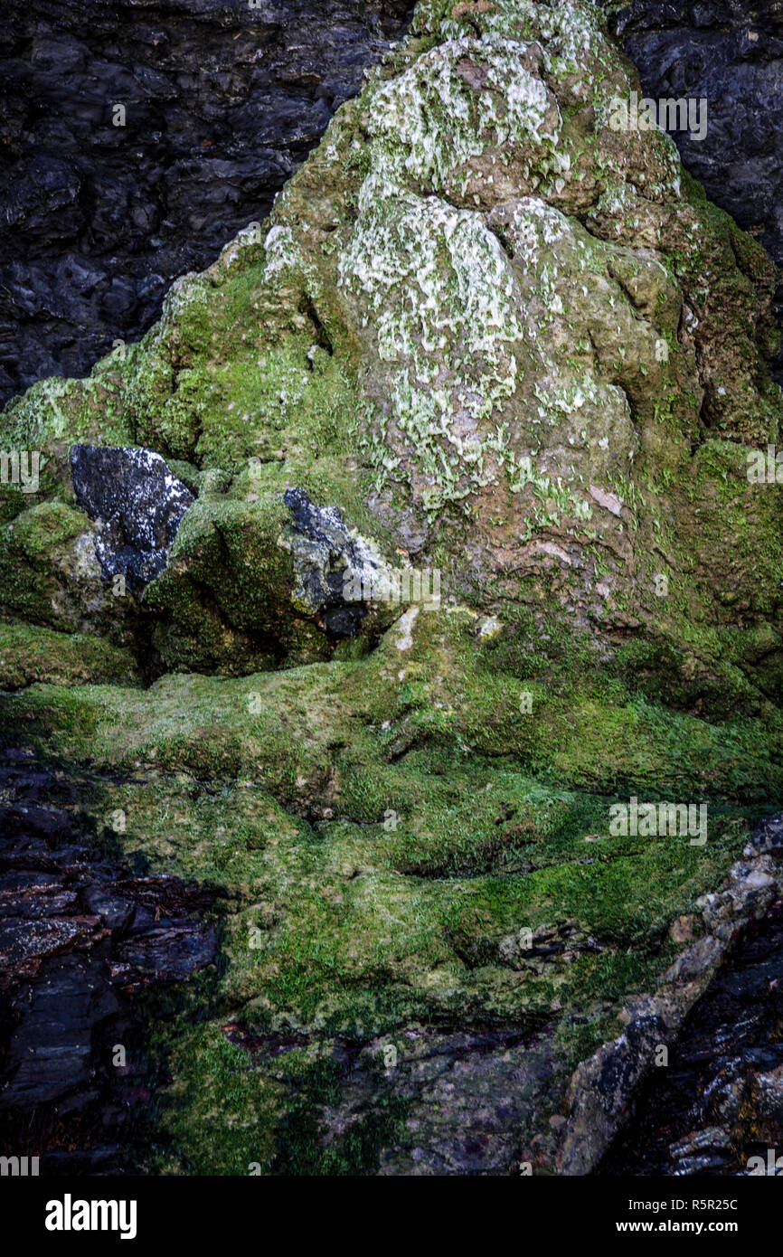 Rock formation, Harlyn Bay, Cornwall, UK Stock Photo - Alamy