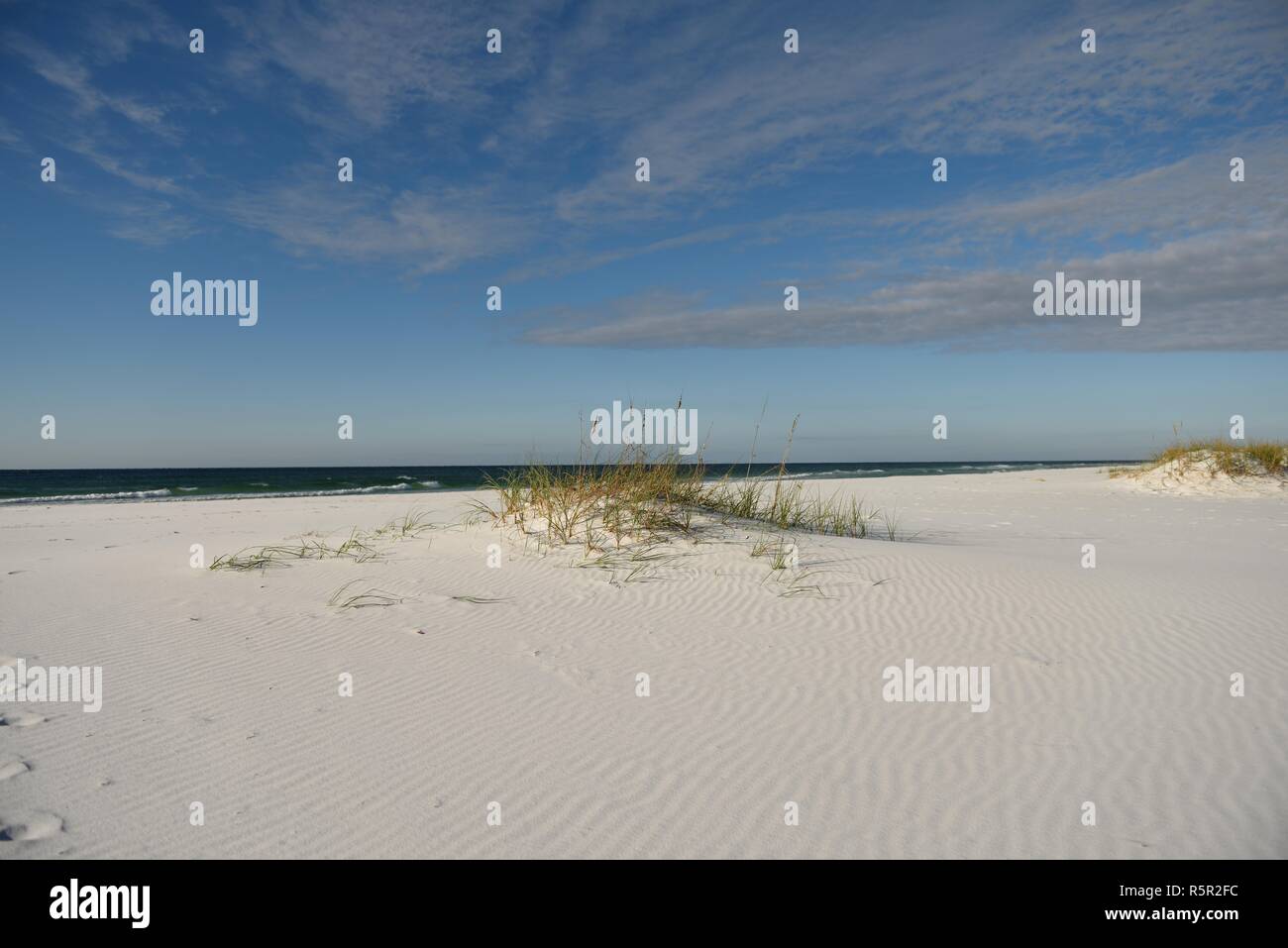 Florida Beach Sand Dunes Grass High Resolution Stock Photography and ...