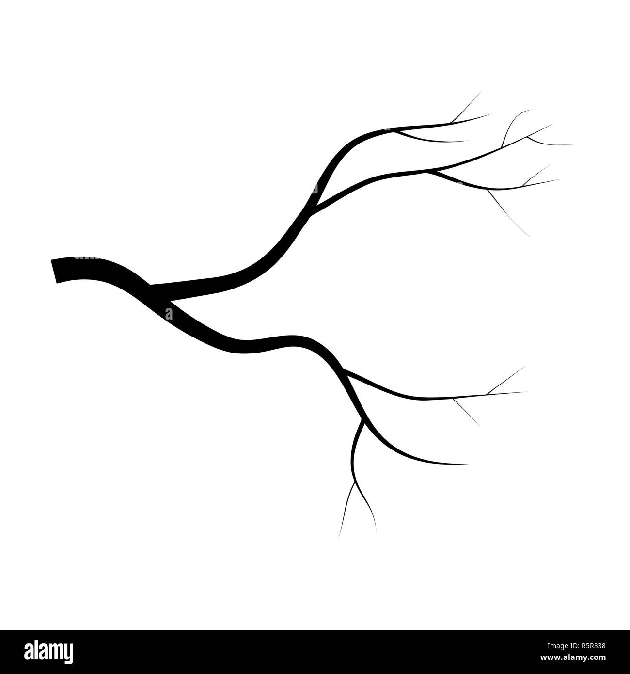 bare branch tree silhouette vector symbol icon design. Beautiful ...
