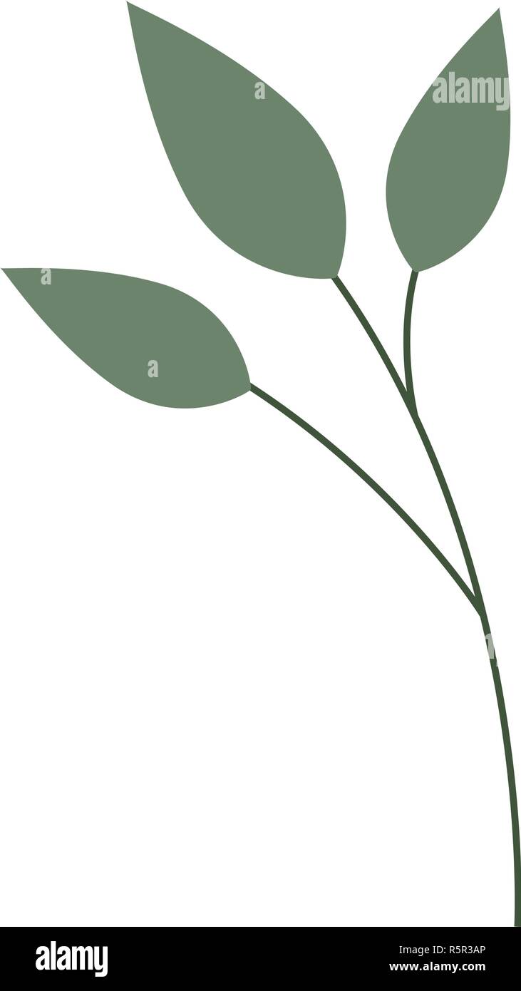 branch leaves nature on white background vector illustration Stock ...