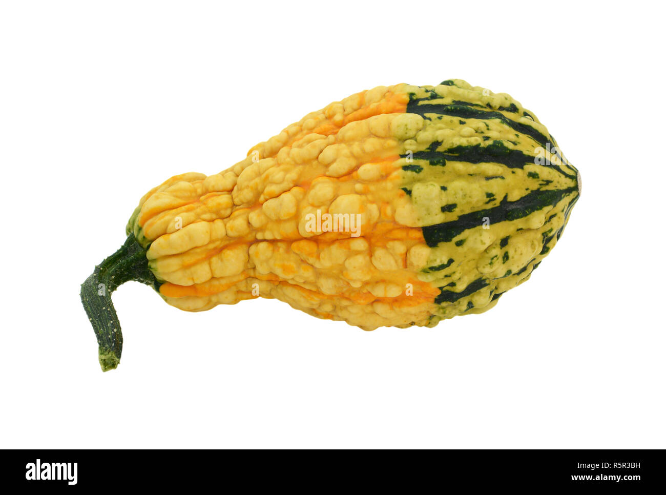 Lumpy gourd hi-res stock photography and images - Alamy