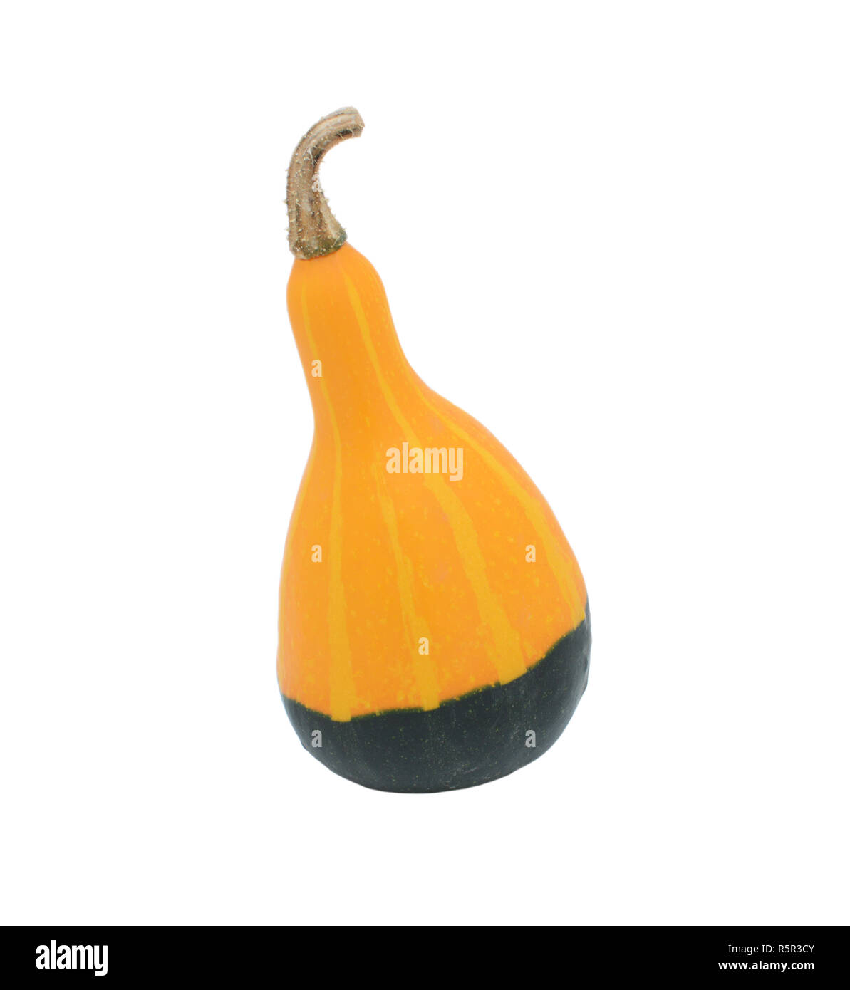 Smooth pear-shaped orange and green ornamental gourd Stock Photo - Alamy