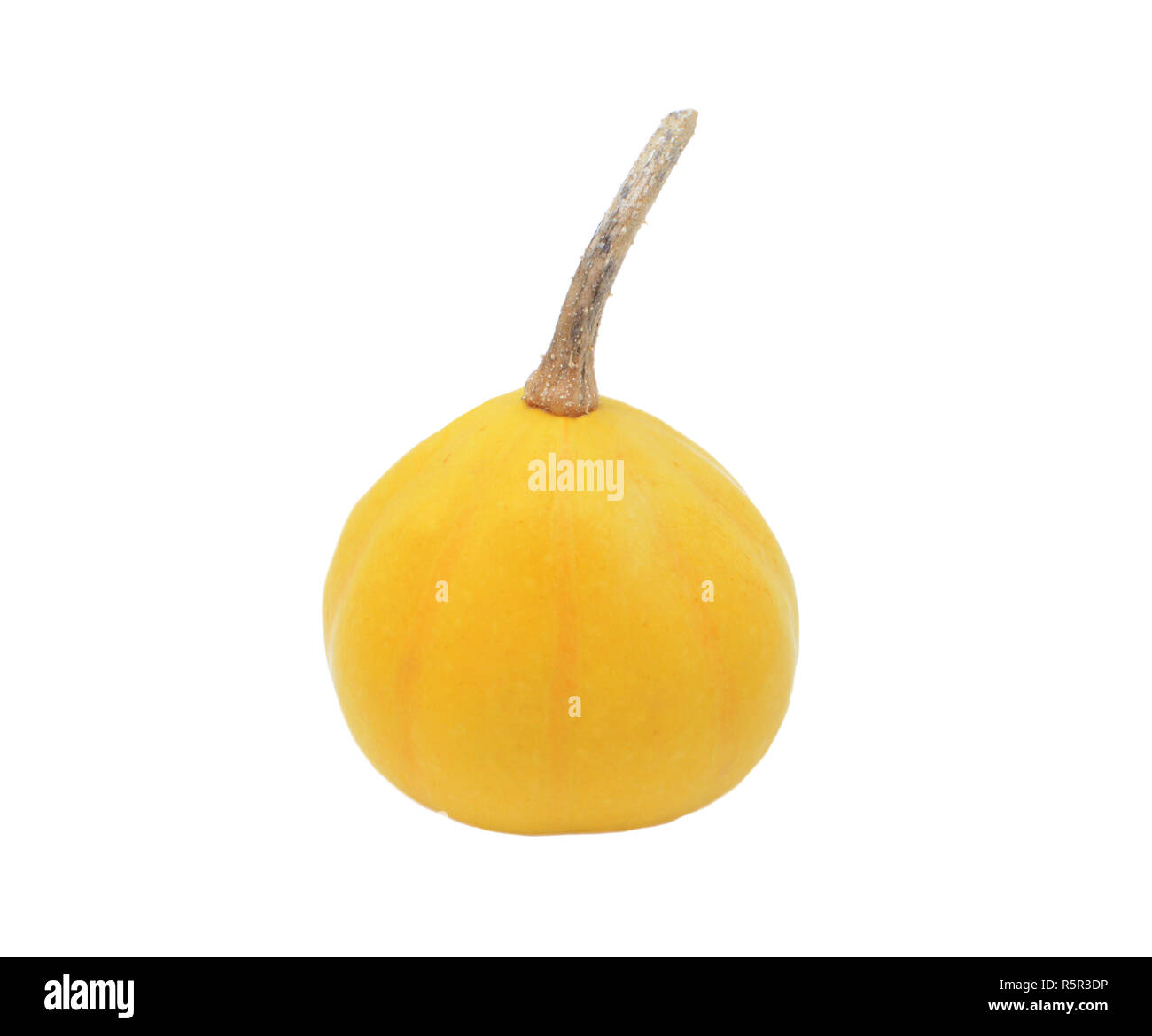Small yellow ornamental gourd Stock Photo - Alamy