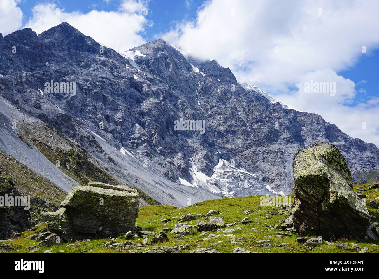 Mount zebru hi-res stock photography and images - Alamy