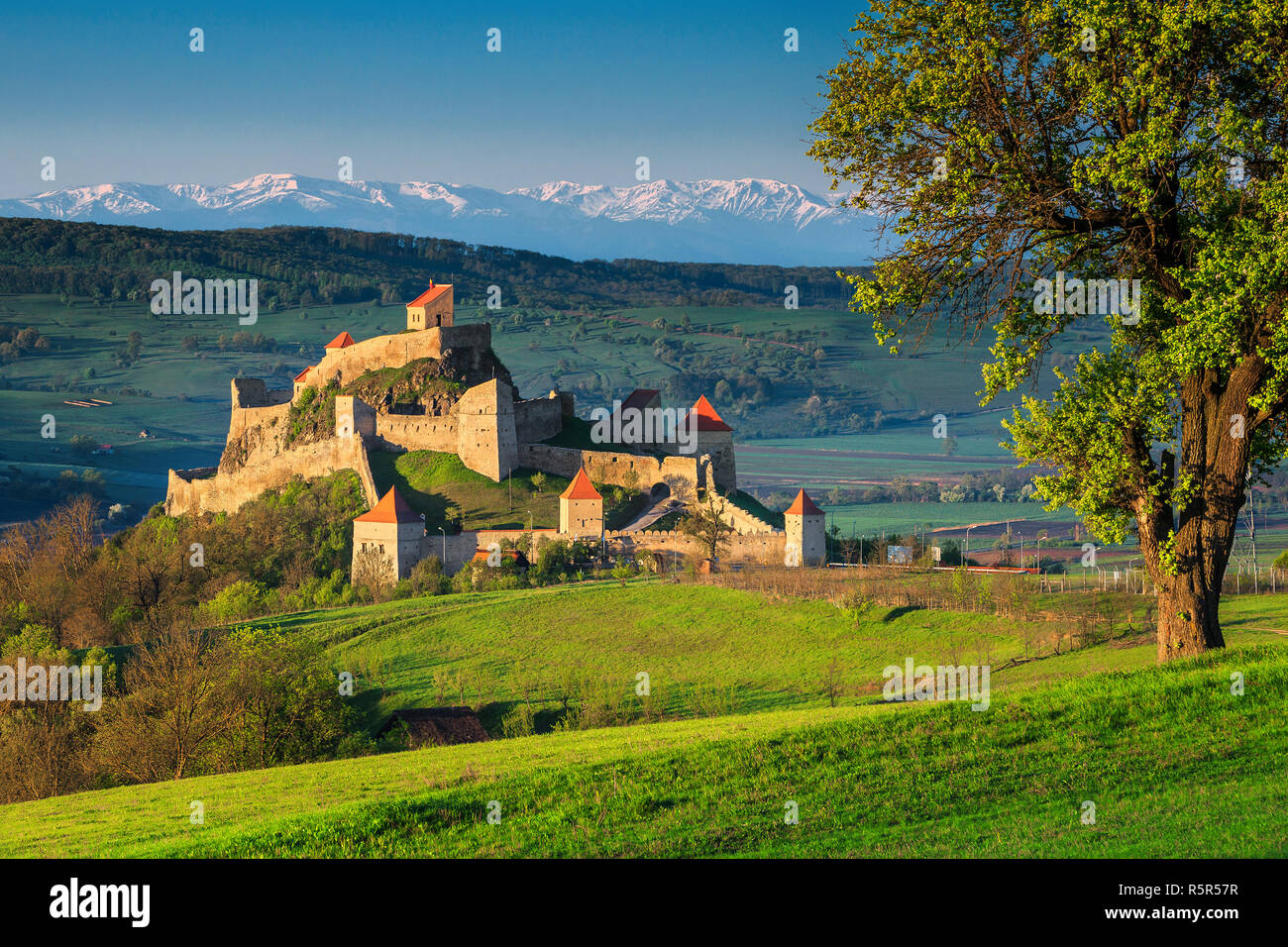 Legendleisure hi-res stock photography and images - Alamy