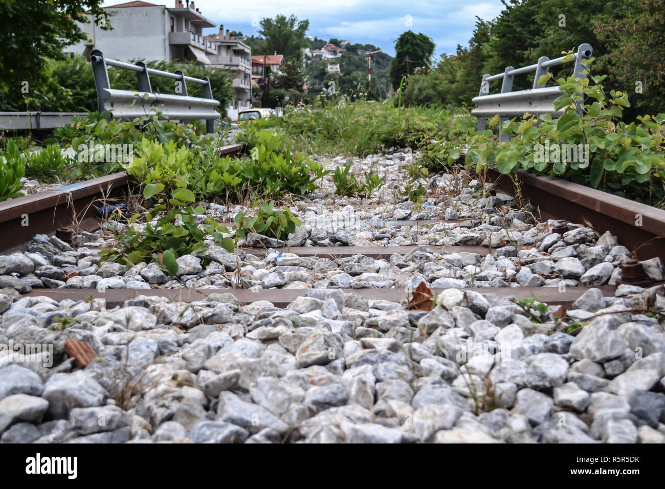 Abandoned rusty railroad track covered with green grass Stock Photo - Alamy