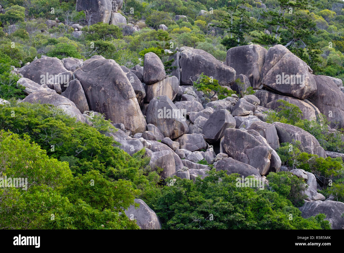 Radical Bay, Magnetic Island Stock Photo - Alamy