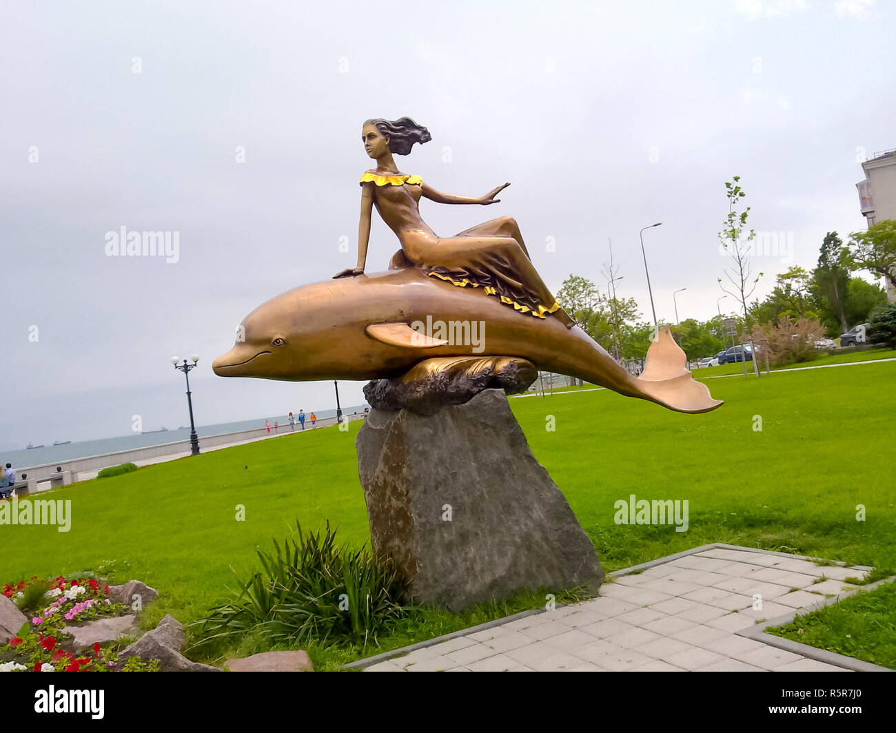 Underwater dolphin ocean kind hi-res stock photography and images - Alamy