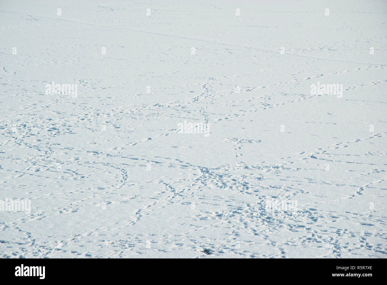 Lot of traces hi-res stock photography and images - Alamy