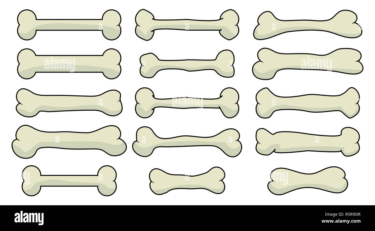 Bone shape formation hi-res stock photography and images - Alamy