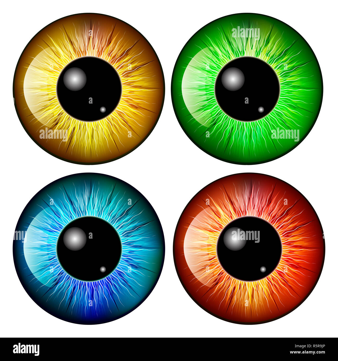 eye, pupil, iris, vector symbol icon design. Beautiful illustration ...
