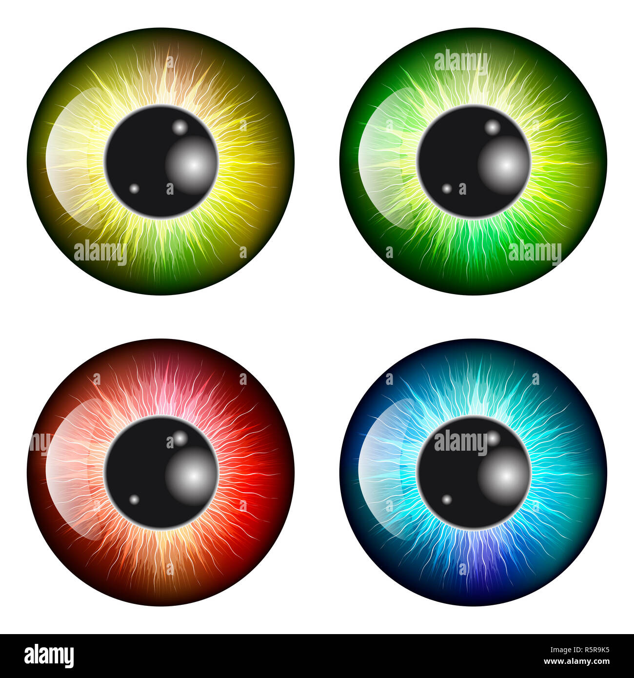 eye, pupil, iris, vector symbol icon design. Beautiful illustration ...