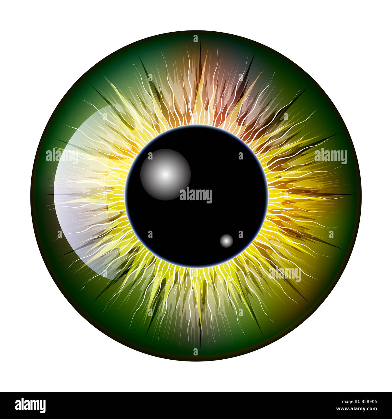 eye, pupil, iris, vector symbol icon design. Beautiful illustration ...