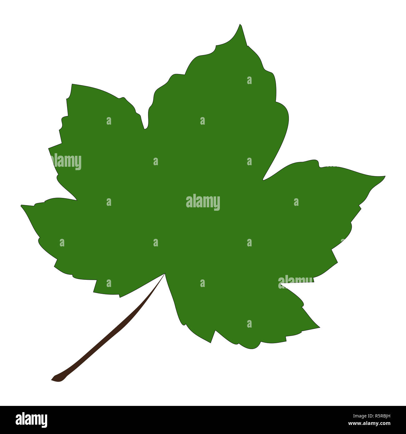 Image of cartoon maple leaf . Vector illustration isolated on white ...