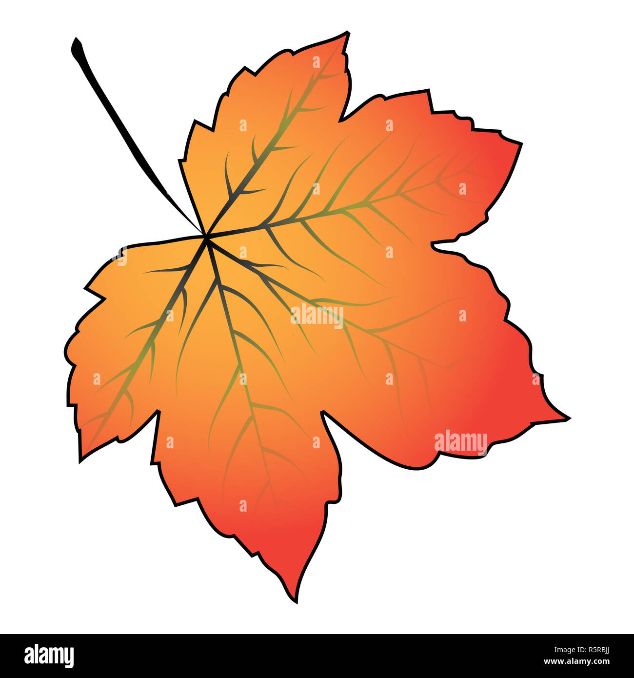 Image of cartoon maple leaf . Vector illustration isolated on white ...