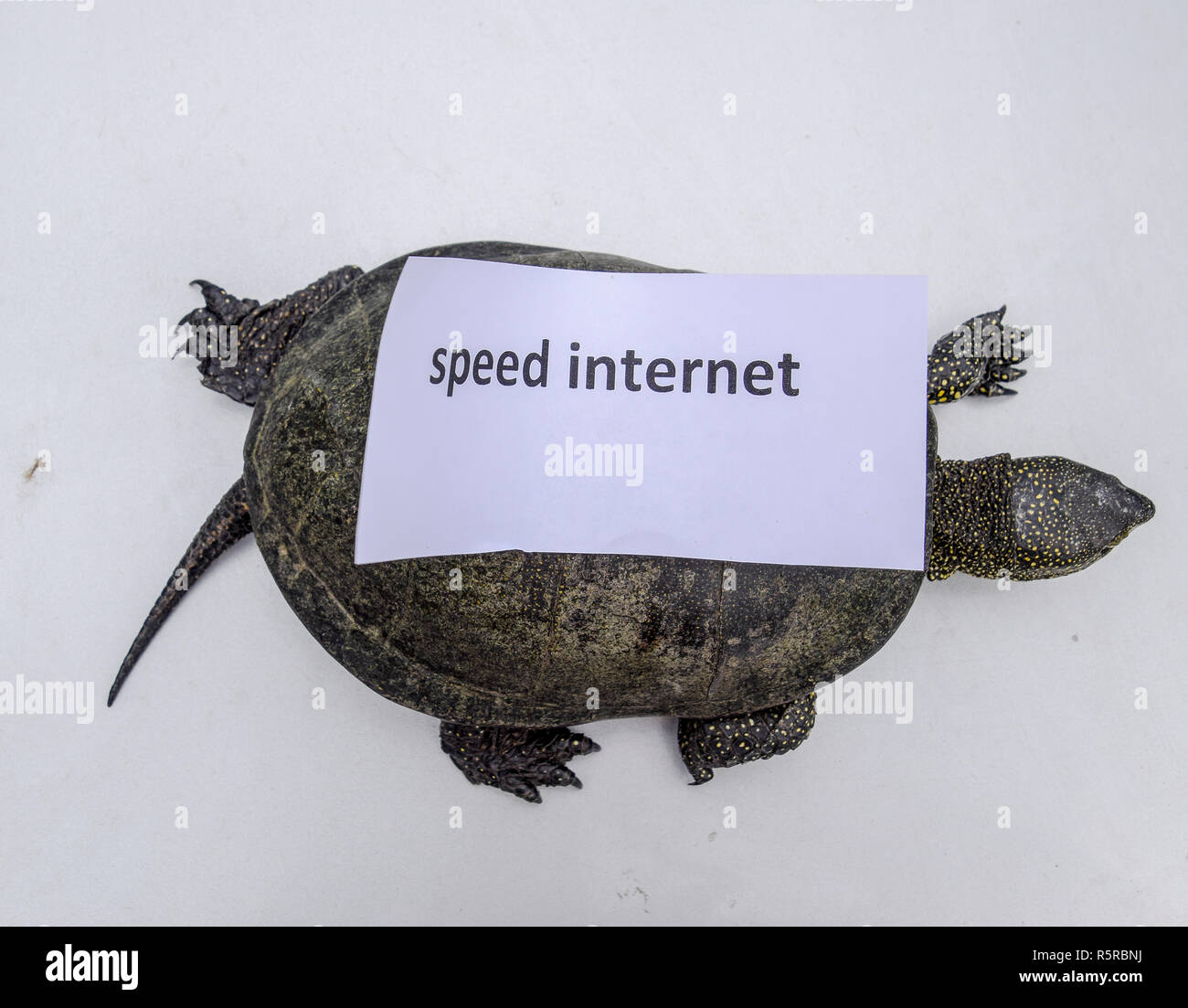 Internet speed. A bad internet symbol. Low download speed. Slow ...