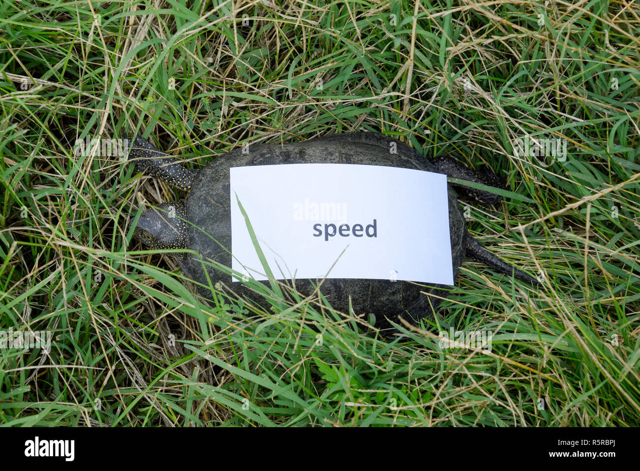 A bad internet symbol. Low download speed. Slow internet. Ordinary ...