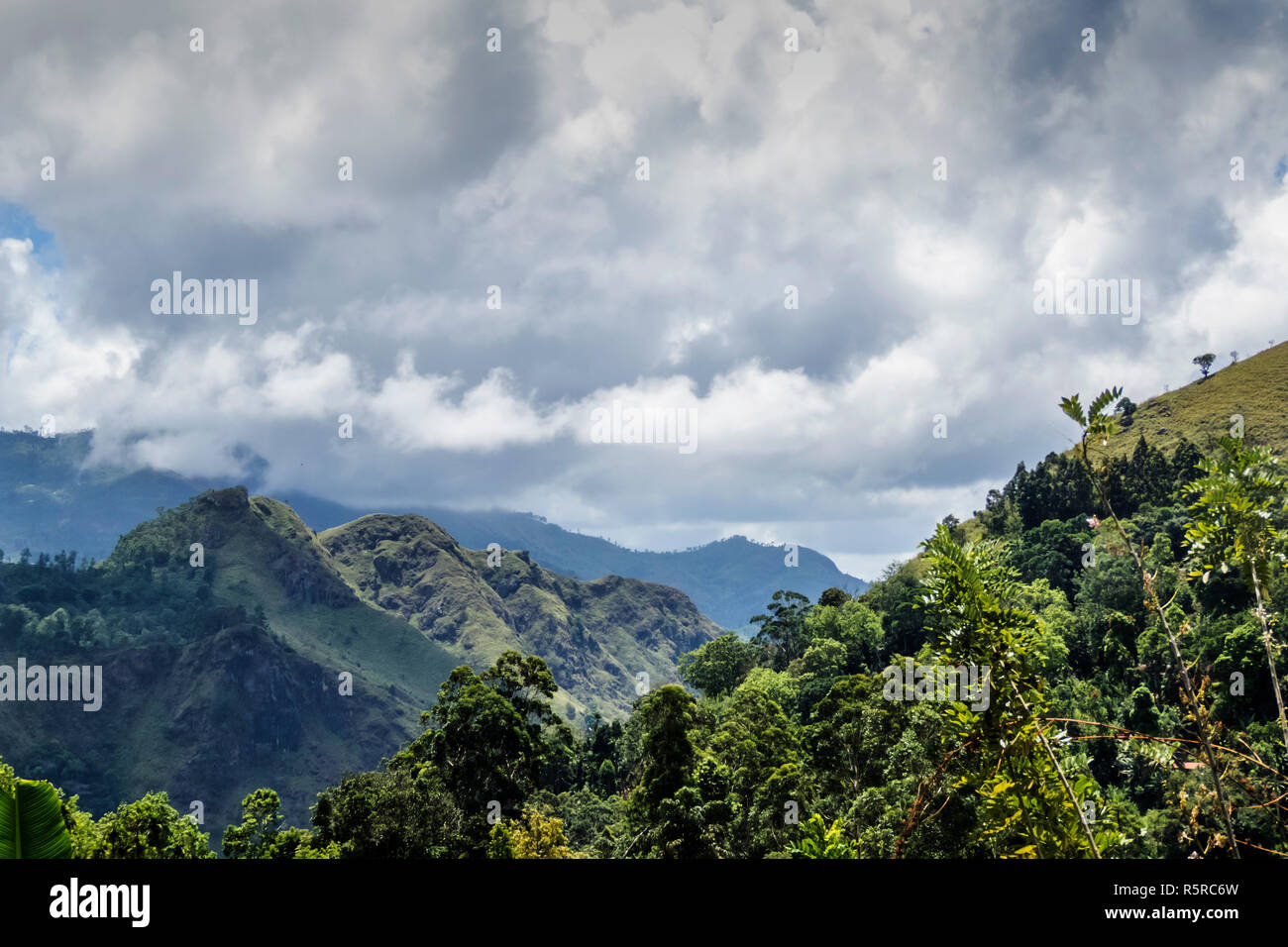 Sri lanka ella tall hi-res stock photography and images - Alamy