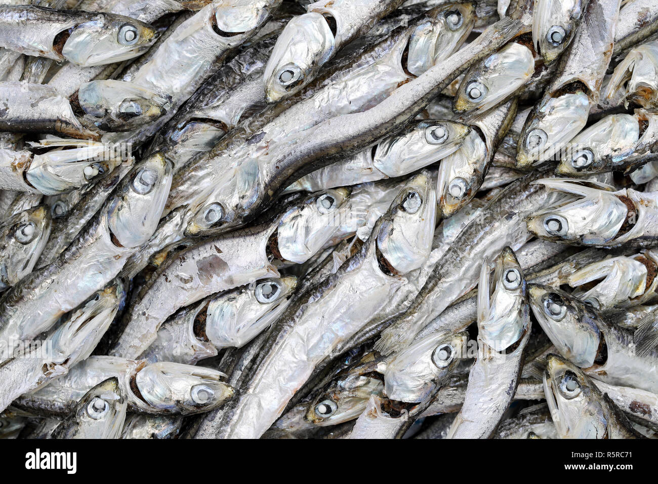 close up of dried small fish, texture background Stock Photo - Alamy