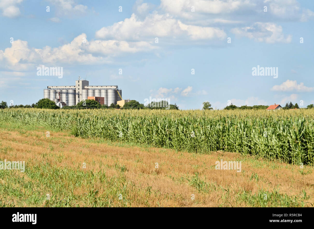 Silo maize hi-res stock photography and images - Alamy