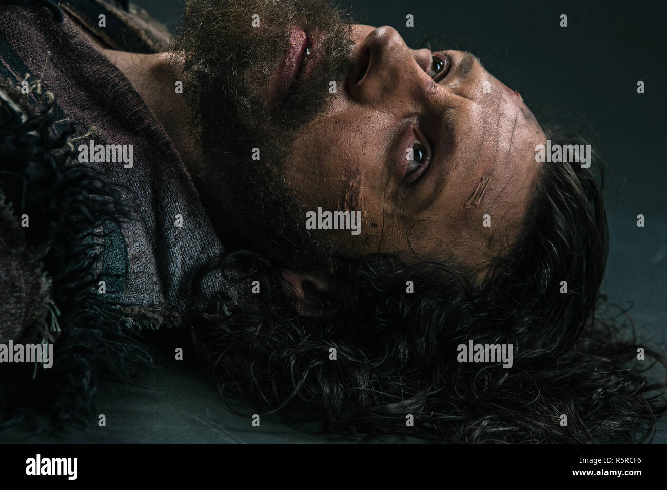 Bearded Vampire High Resolution Stock Photography and Images - Alamy