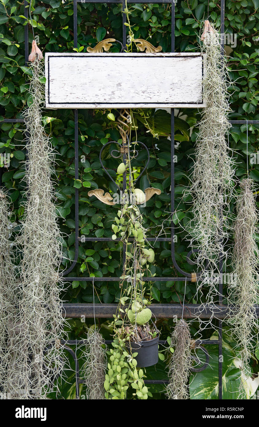 Empty signage hi-res stock photography and images - Alamy
