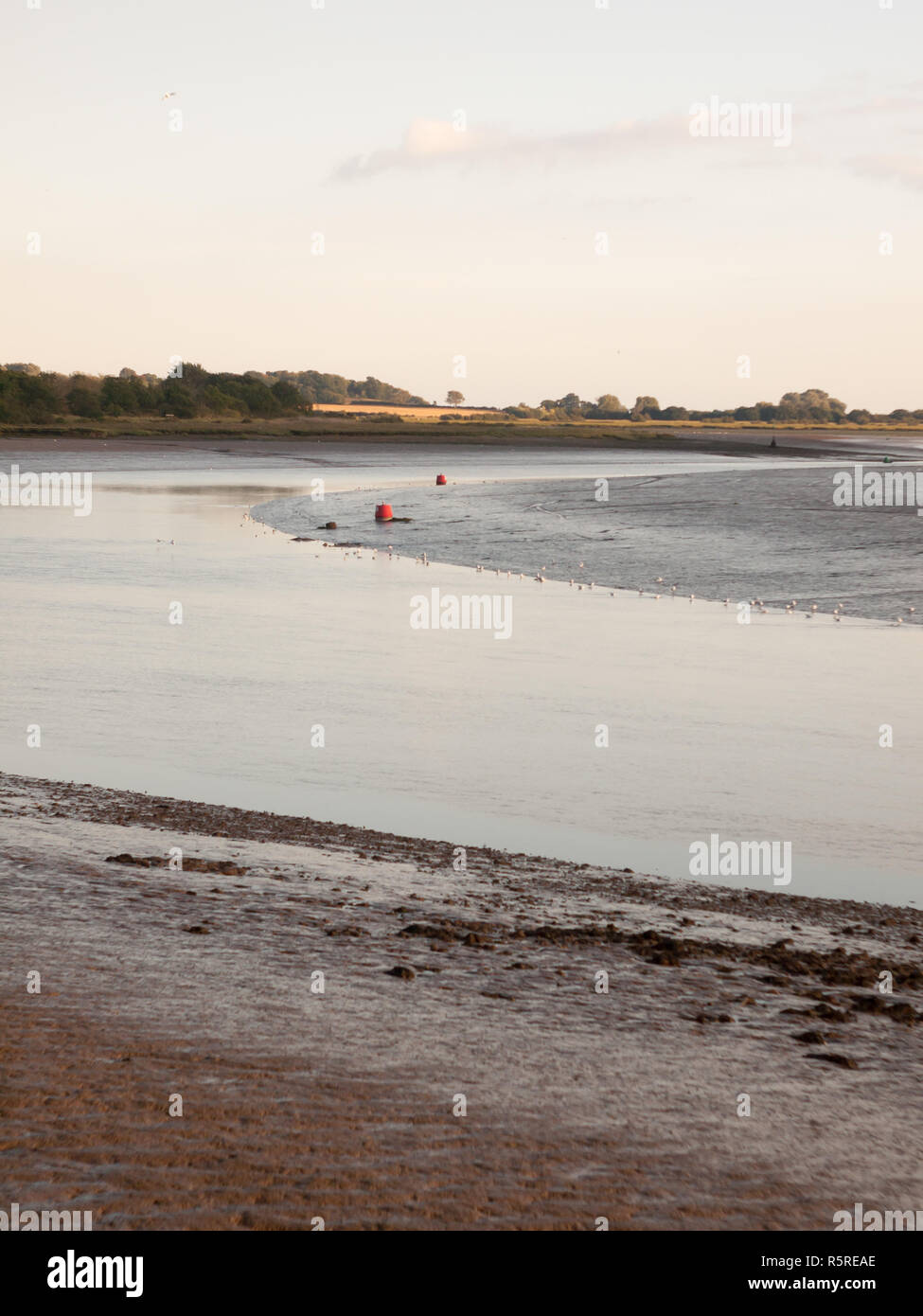 river country scene landscape with wader birds tide out and mud flats ...