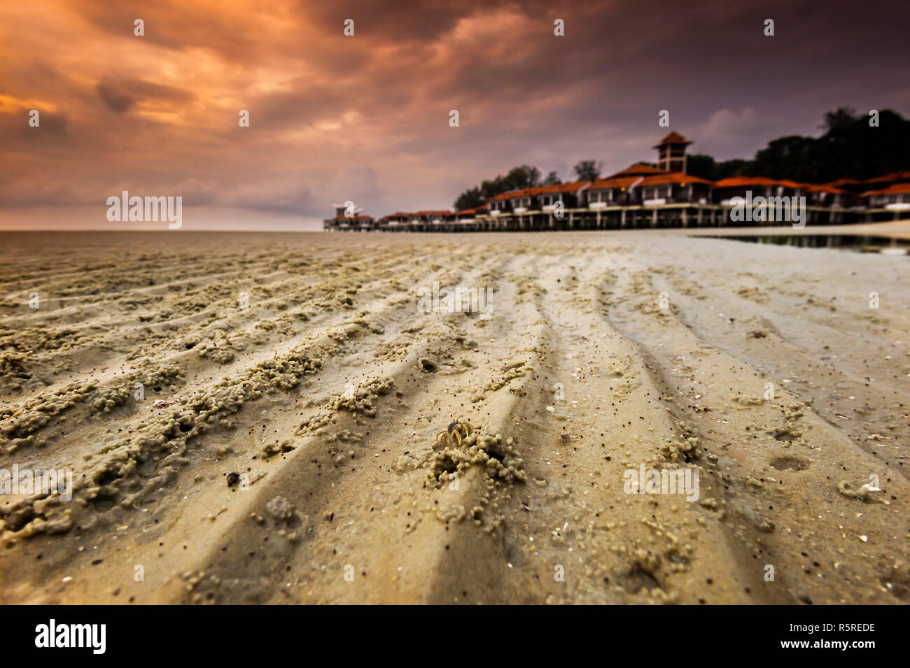 Recreational port hi-res stock photography and images - Alamy