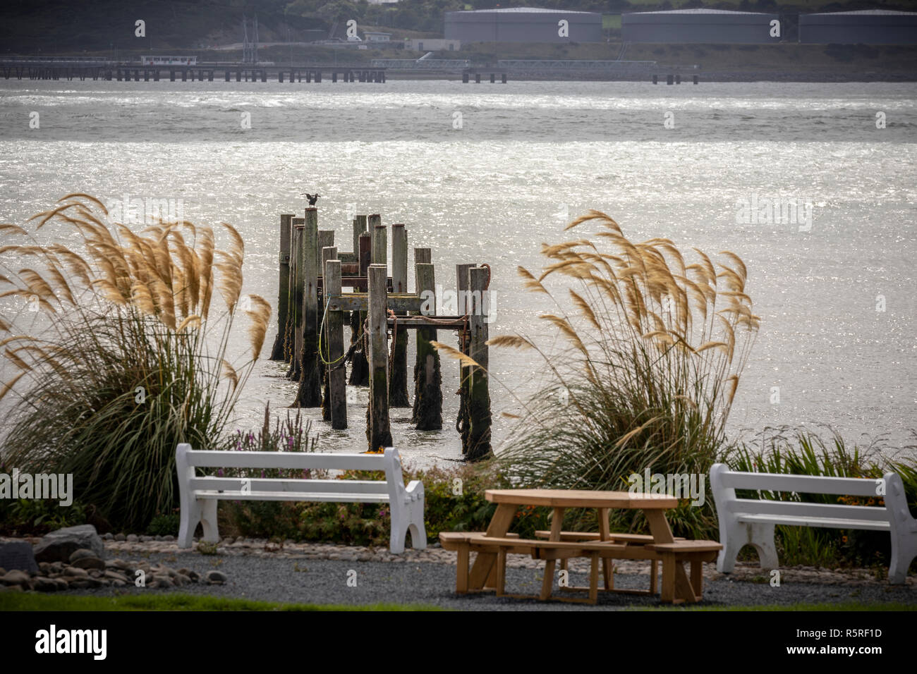 Killimer Ferry Terminal, Co Clare, Ireland, Europe Stock Photo - Alamy